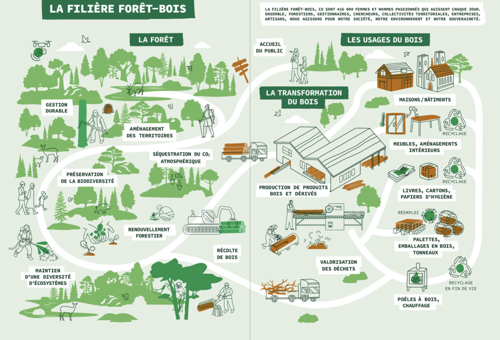 Utile par essence - Filière Forêt-Bois